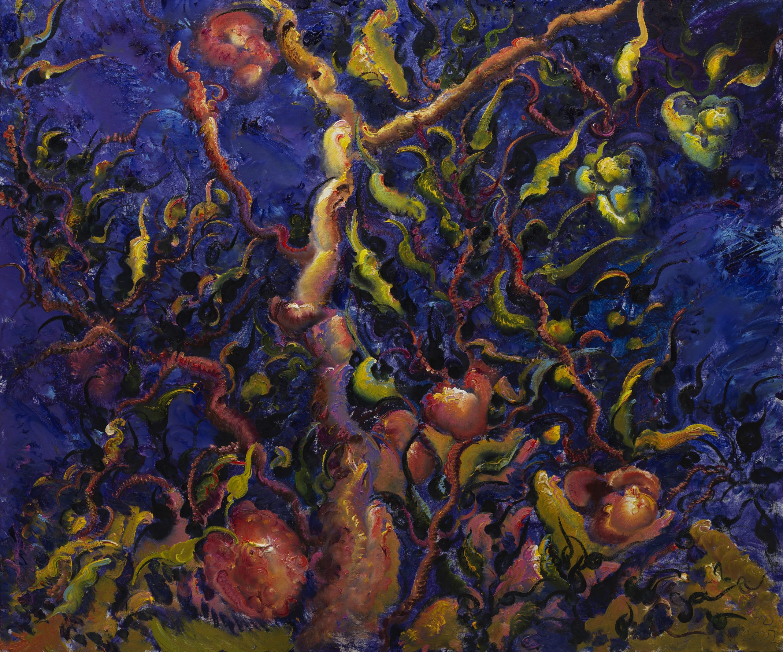 The Fruit - MANGROVEGALLERY 红树林画廊